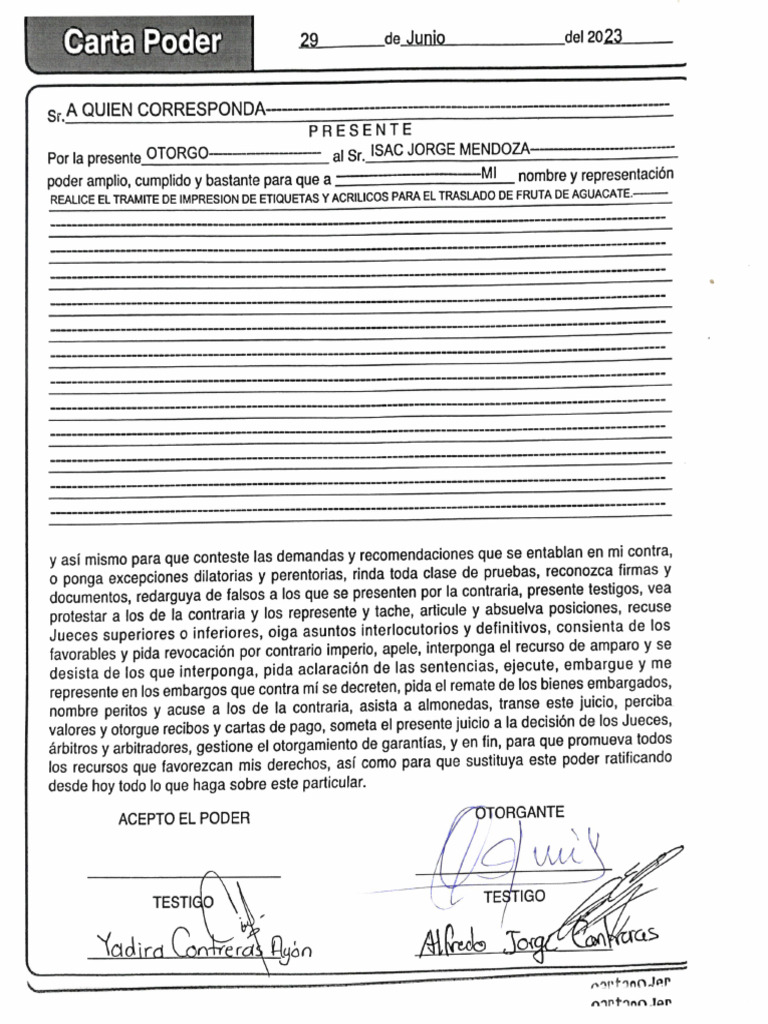Carta Poder | PDF