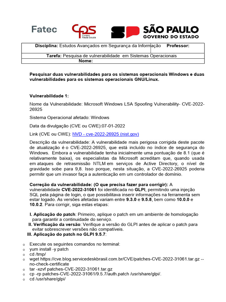 Pesquisa de Vulnerabilidades | PDF | Vulnerabilidade (informática) | Computadores