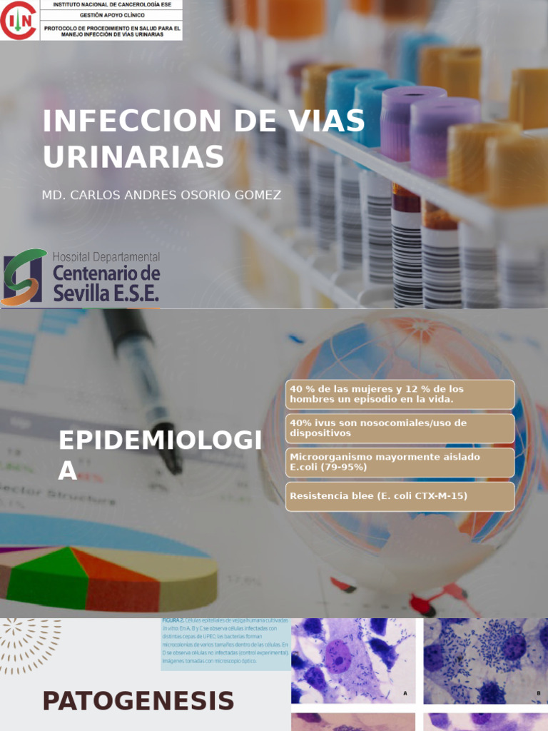 Infeccion de Vias Urinarias Hospital Departamental Centenario Sevilla | PDF