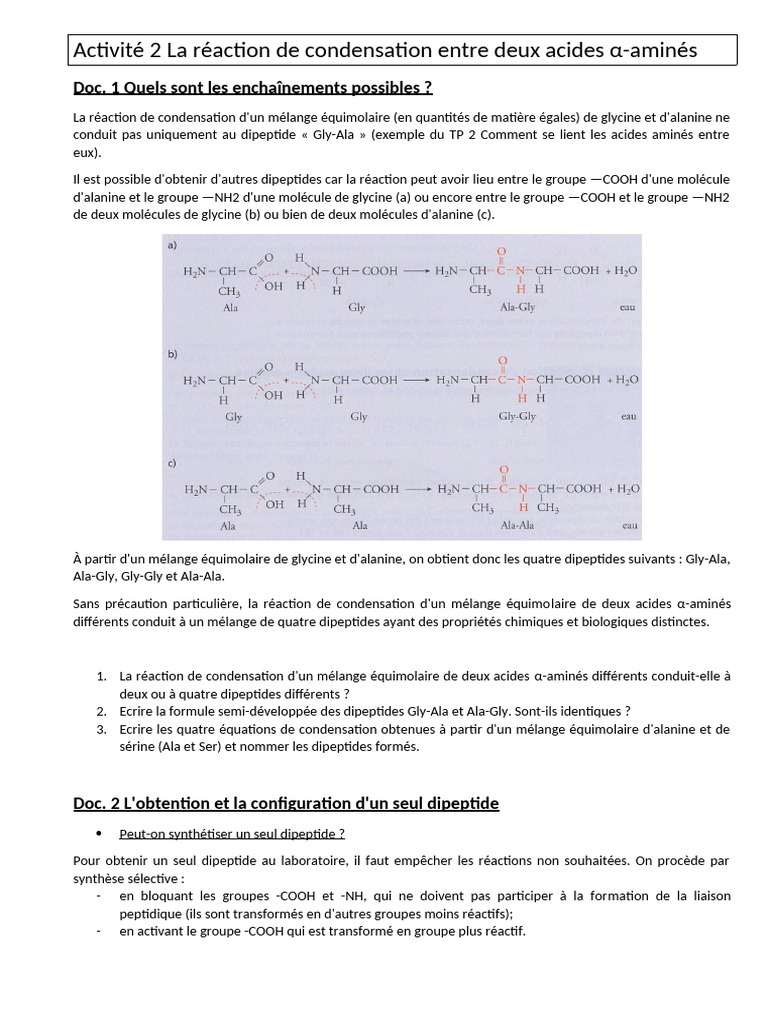 Activité 2 La réaction de condensation entre deux acides α-aminés | PDF