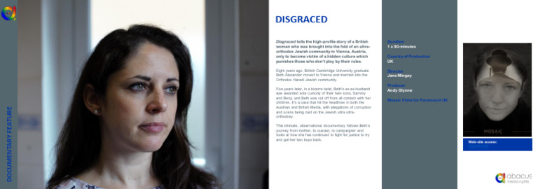 DISGRACED - Sales Sheet | PDF