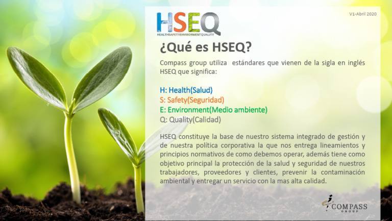 Que Es HSEQ 2020 | PDF
