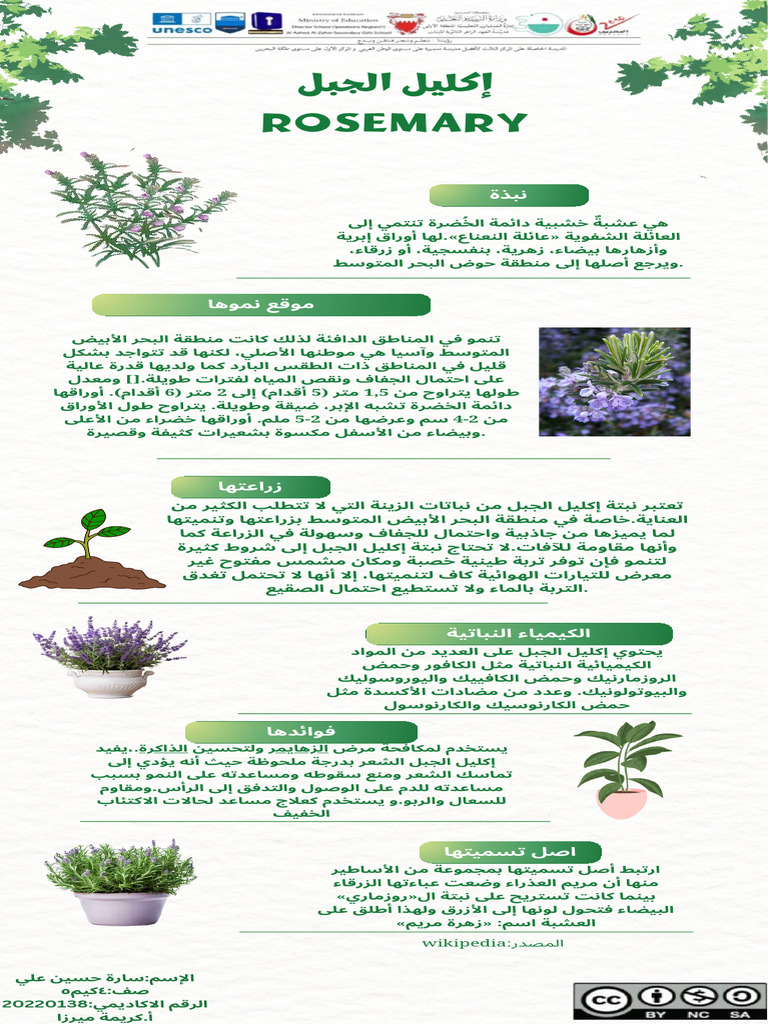 Green & Brown Monstera Plant Fun Facts Infographic | PDF