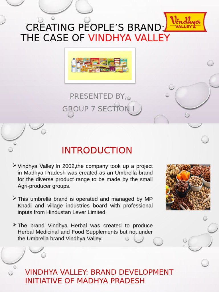 Section1 Group 7 Vindhya Valley | PDF | Brand | Economies