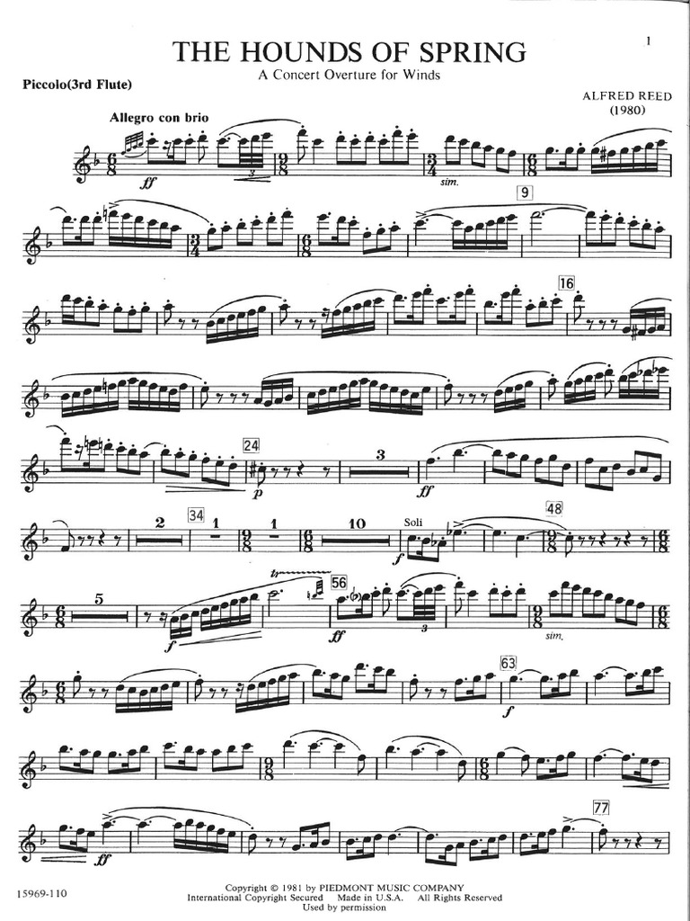 Fluit 3 - Piccolo | PDF