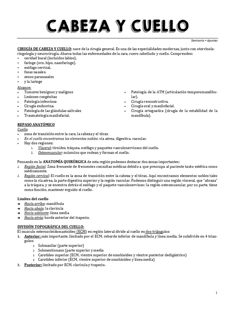 Ciru CABEZA Y CUELLO | PDF