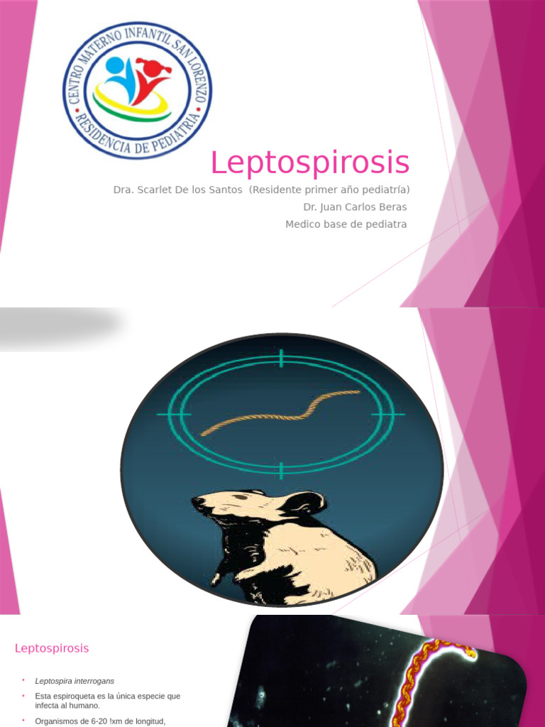 Leptospirosis Presentacion | PDF