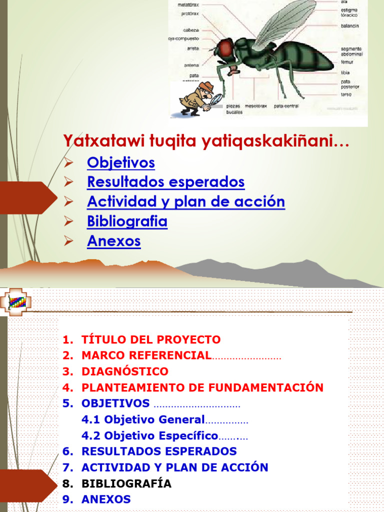 CONTINUACIÓN - Objetivos, Result Esp y Plan de Activ.23 | PDF