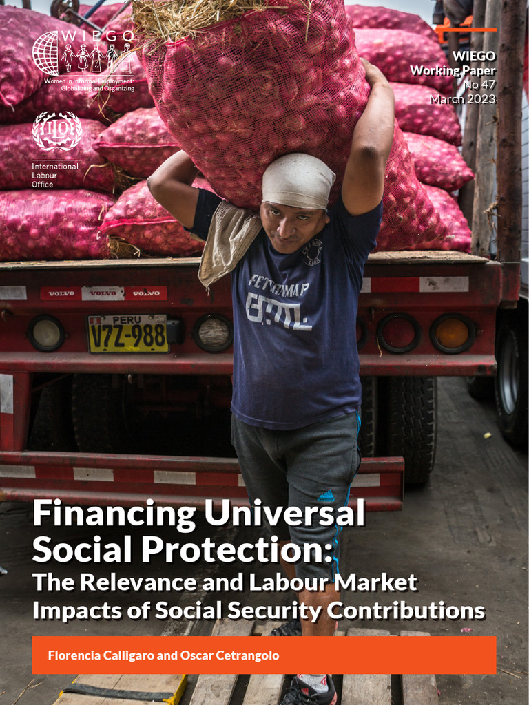 Financing Universal Social Protection | PDF