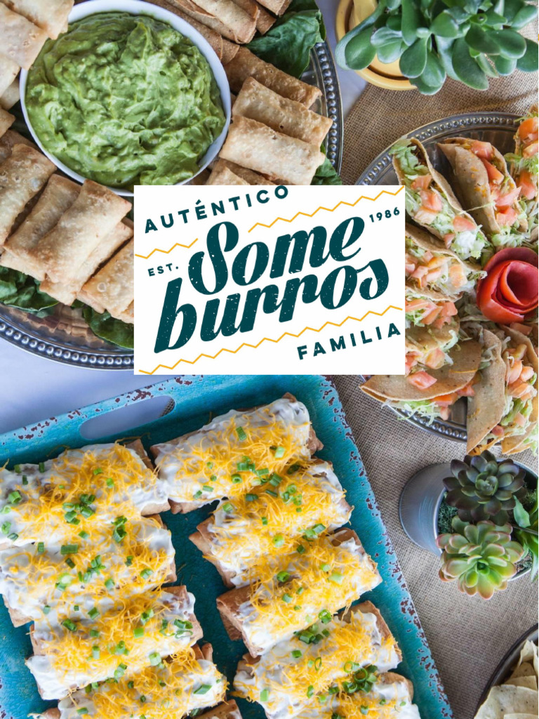 SomeBurros Handbook | PDF