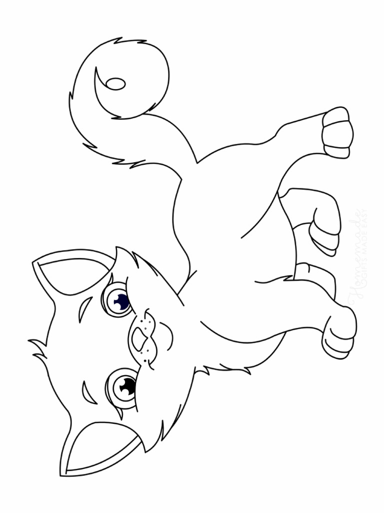 cat-coloring-pages-cute-eyes-fluffy-tail | PDF