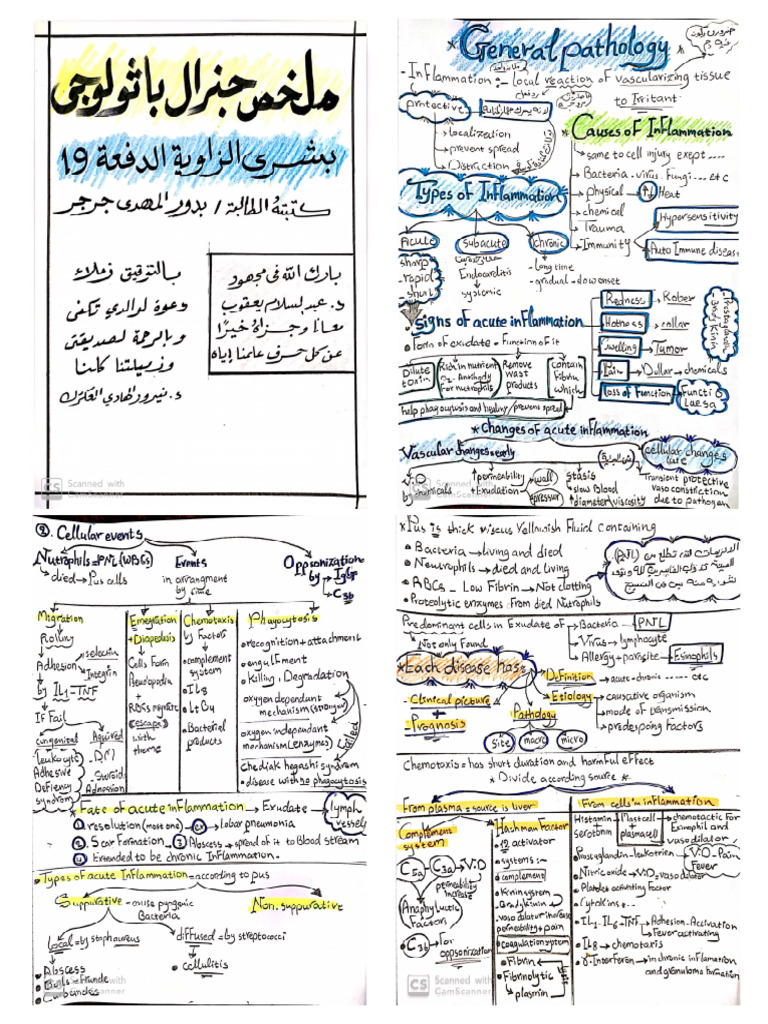 General Pathology | PDF