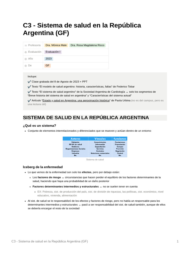 C3 - Sistema de Salud en La República Argentina (GF) | PDF