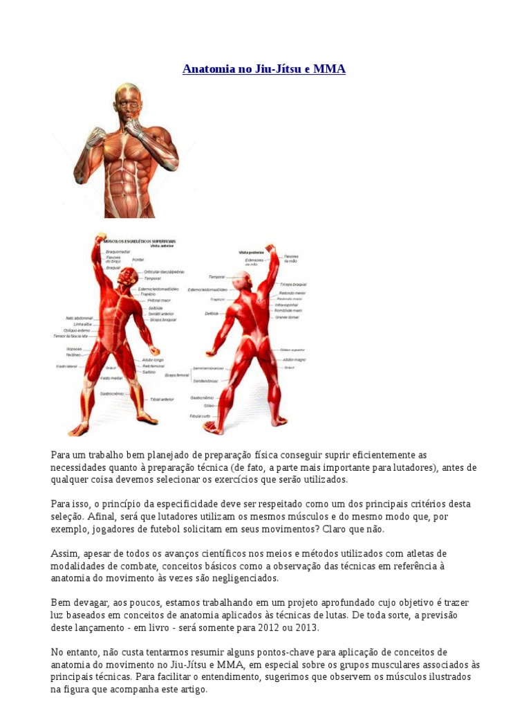 Anatomia Do Jiu Jitsu e Mma | PDF | Jiu-jitsu | Músculo