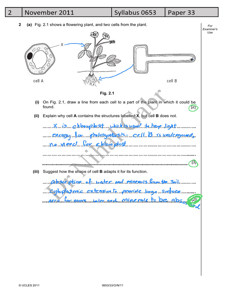 HW 4 CS Bio | PDF