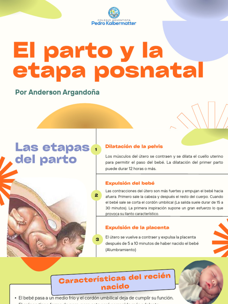 El Parto y La Etapa Posnatal | PDF