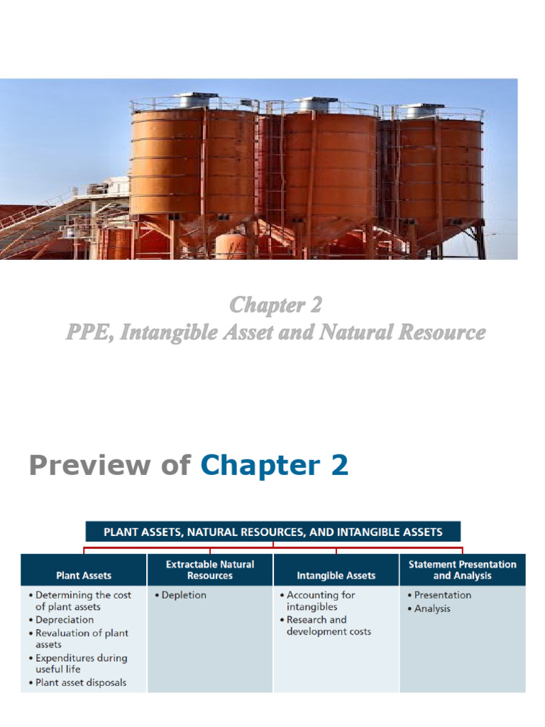FA II Chapter 2 PPE | PDF