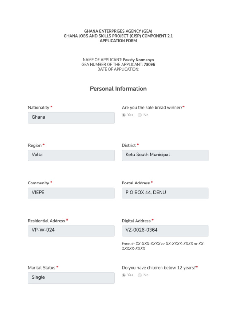 Fausty Jas Application | PDF
