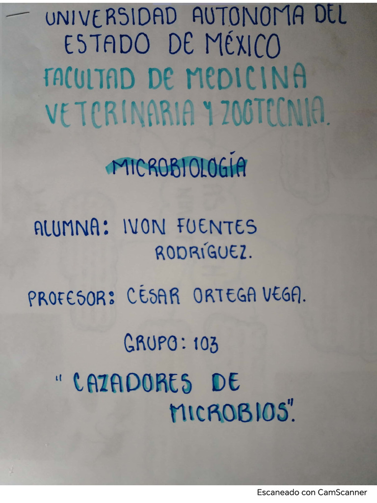 Esquemas 2 Parcial Micro | PDF