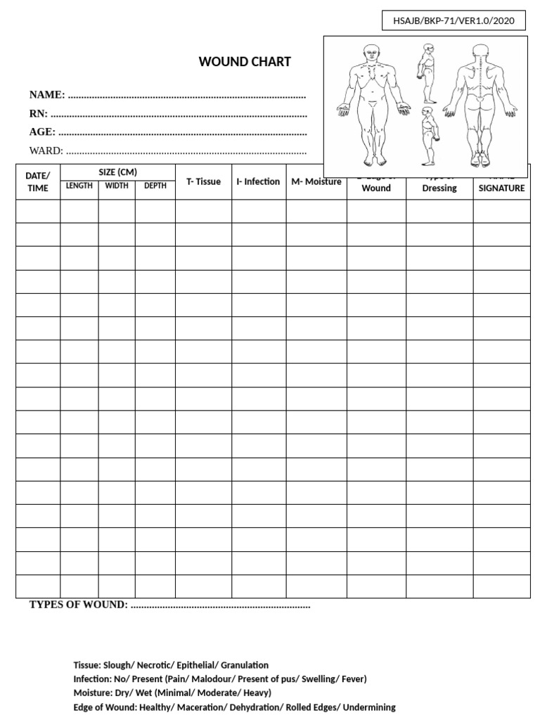 71 Wound Chart | PDF