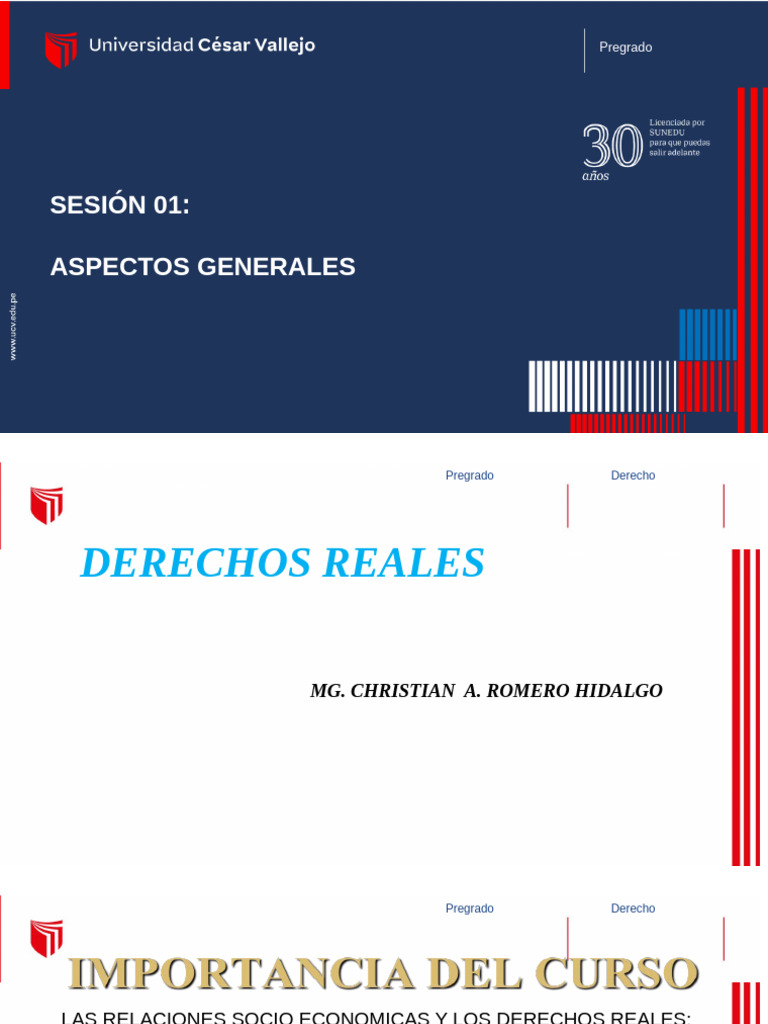 SESION 01 - ASPECTOS GENERALES | PDF
