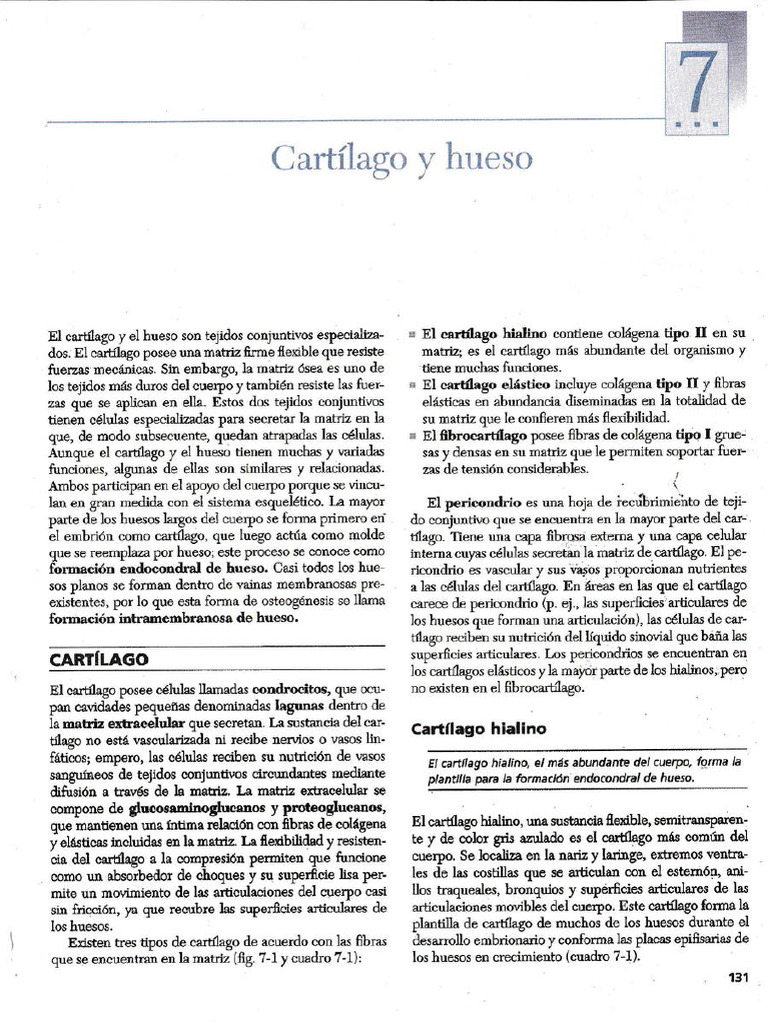Cap 9 - Neuro | PDF