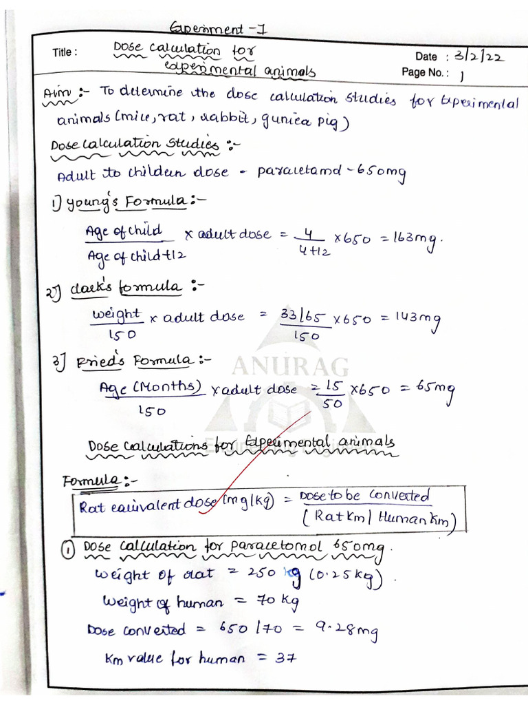 Dose Calculation For Animal Model | PDF