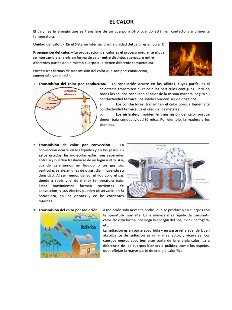 1° Cta PDF | PDF | Science & Mathematics