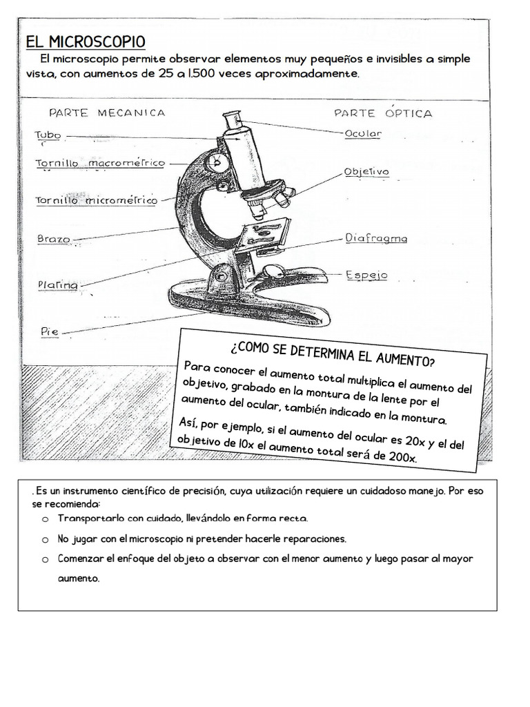 El Microscopio - 024403 | PDF