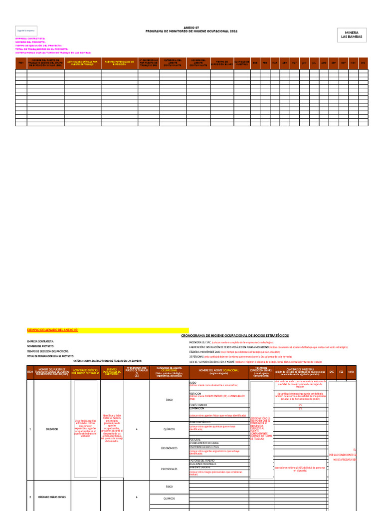 ANEXO 07 Programa de Monitoreo de Higiene Ocupacional_2024 | PDF