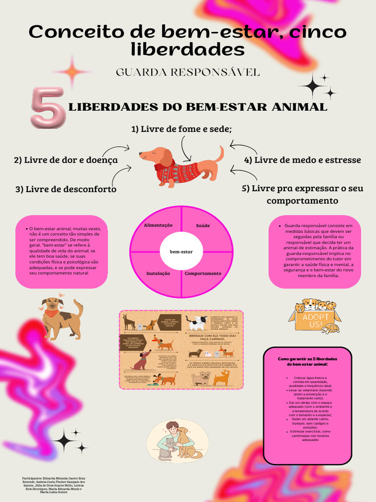 Texto Do Seu Parágrafo | PDF