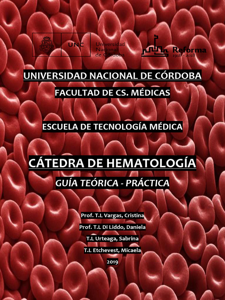 APUNTE PRACTICOS 2019 | PDF APUNTE PRACTICOS 2019 | PDF