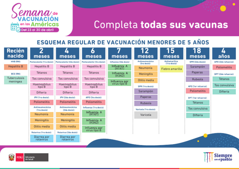 Cartilla Esquema de Vacunación PDF | PDF | Vacunas | Epidemiología