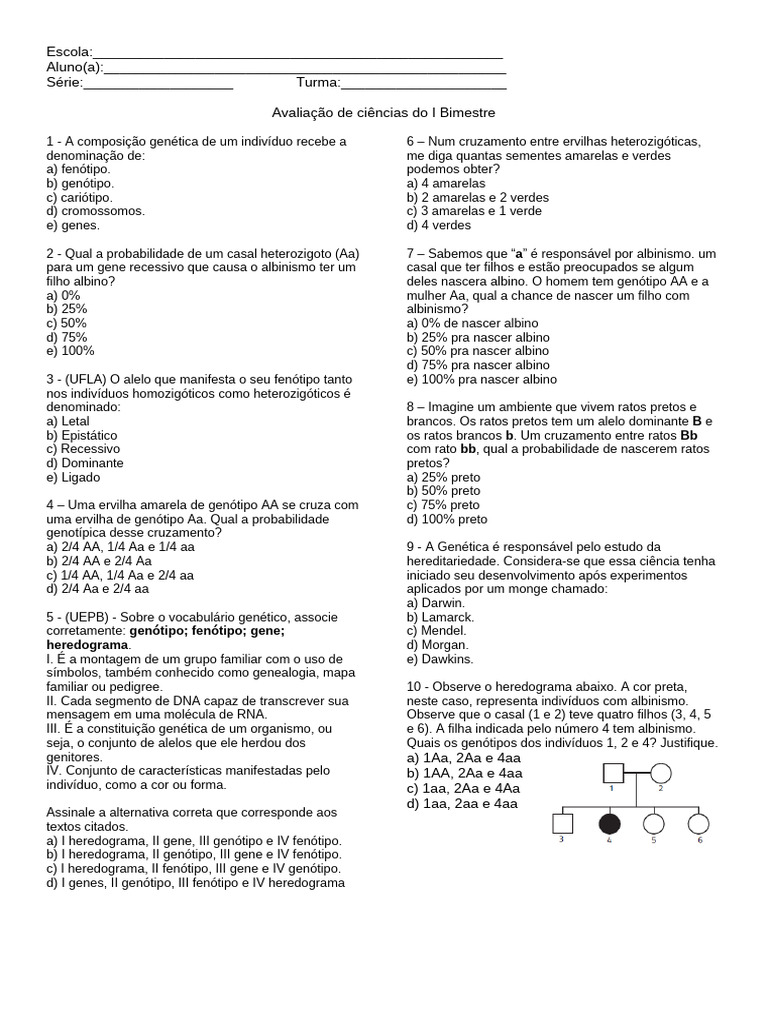 Prova 9 Ano Pdf