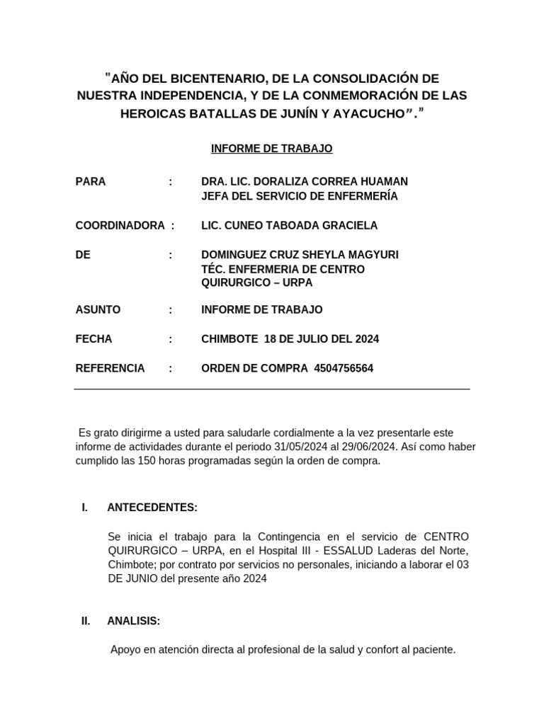 Informe Centro Quirurgico Sheyla Junio | PDF
