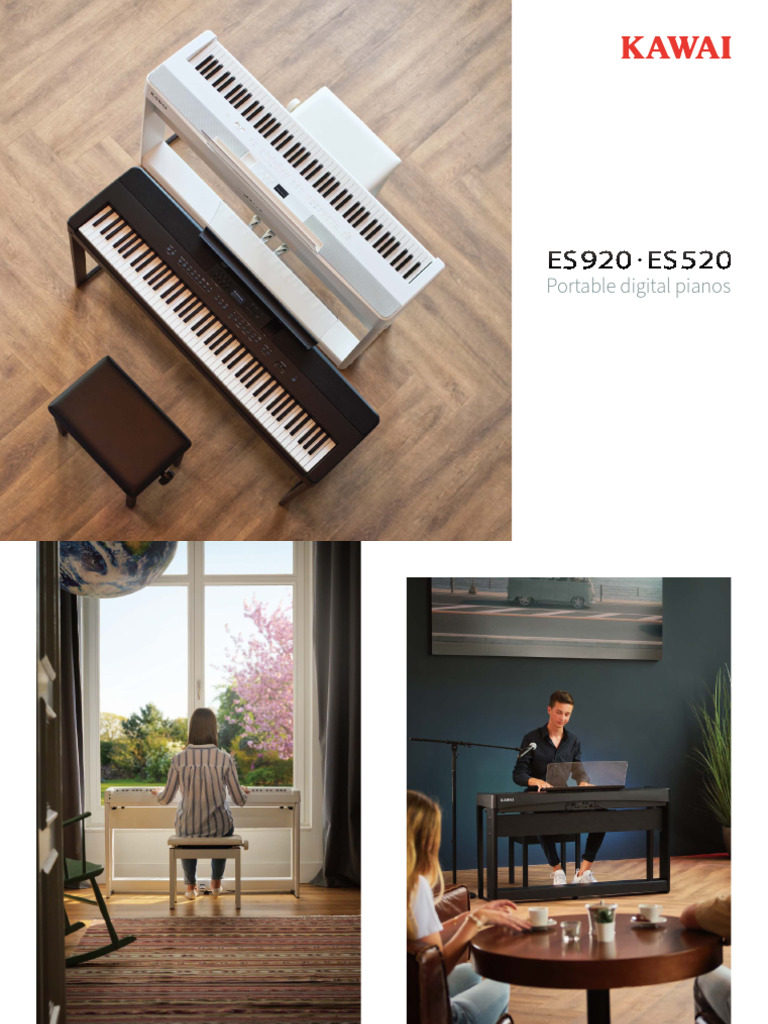 ES920 ES520 Brochure EN 300dpi | PDF
