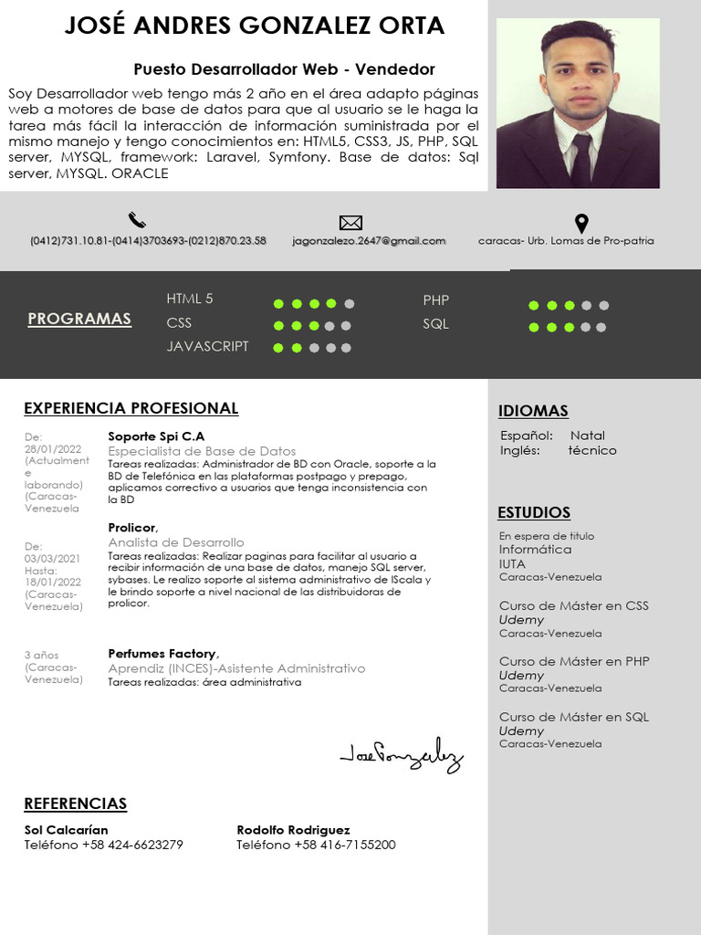CV Actualizado | PDF