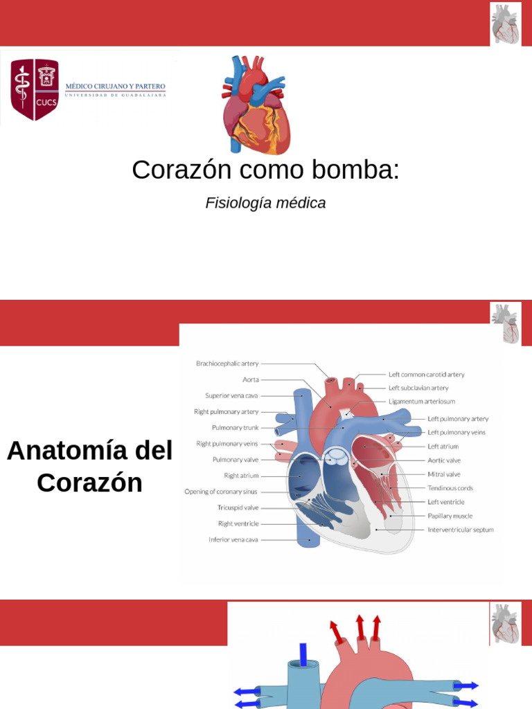 Corazón Como Bomba | PDF