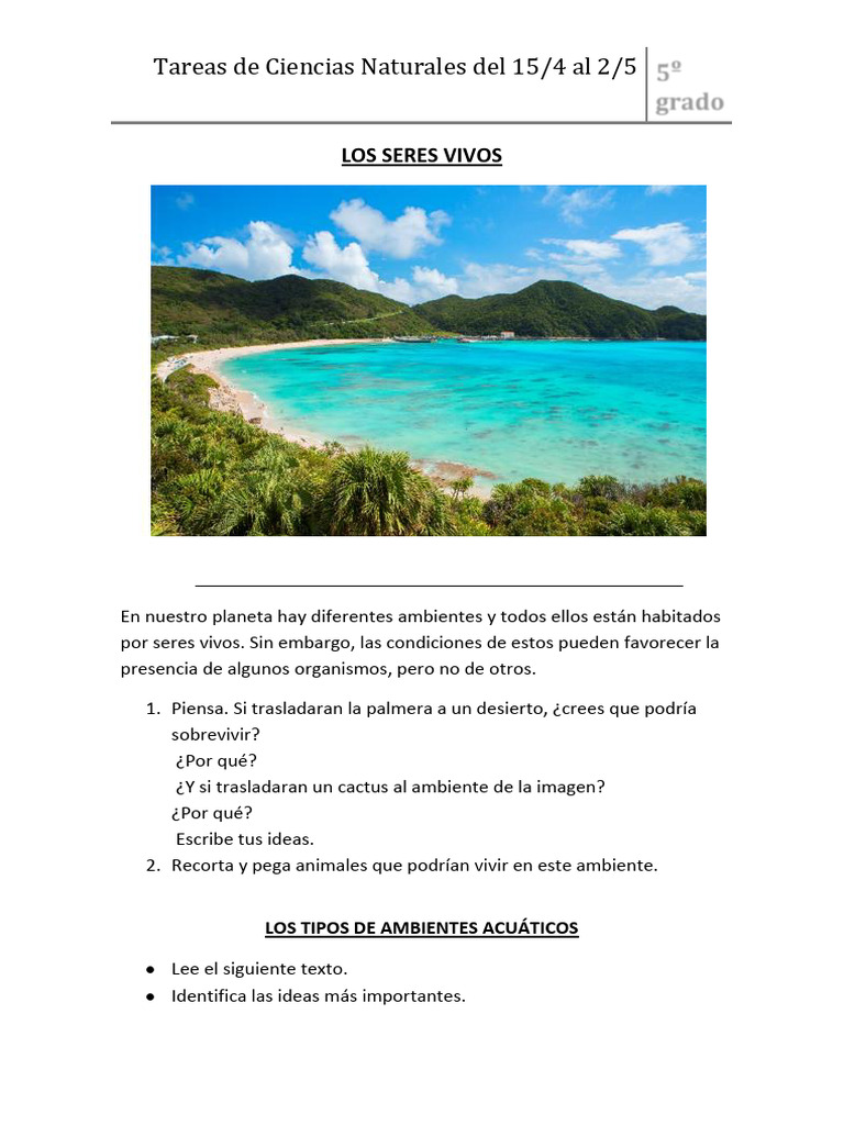 5º Grado Actividade de Ciencias Naturales Del 15-4 Al 2-5 | PDF