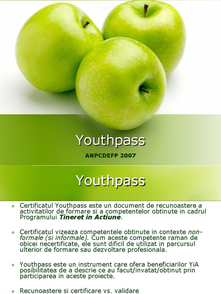 Youth Pass | PDF