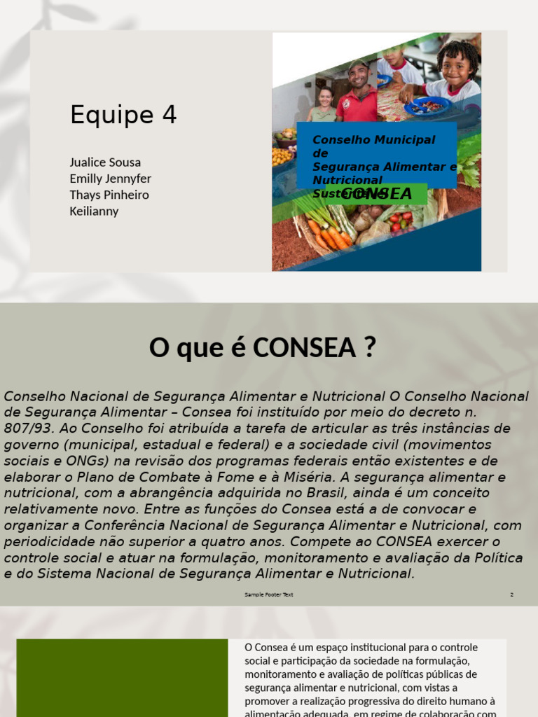 Presentation Consea | PDF