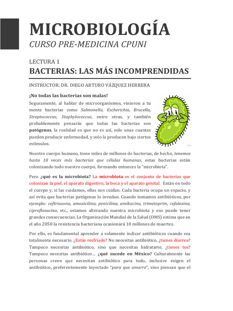 Bacterias | PDF