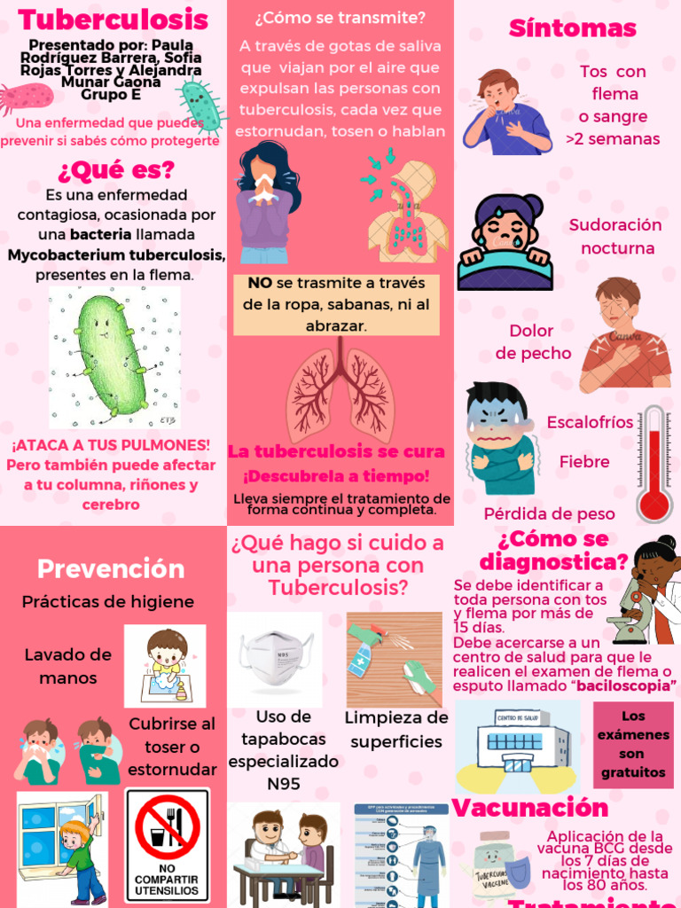 Folleto Tuberculosis | PDF