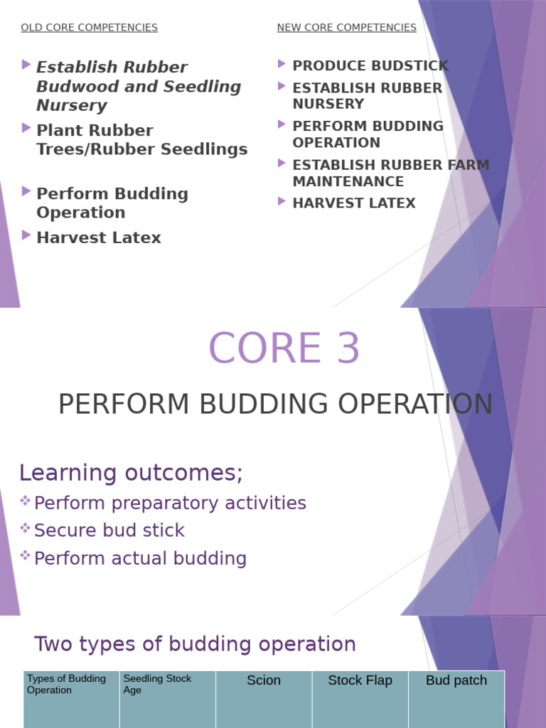 CORE 3 Perform Budding Operation | PDF