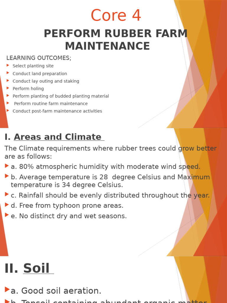 Core 4 Establish Rubber Farm Maintenance | PDF