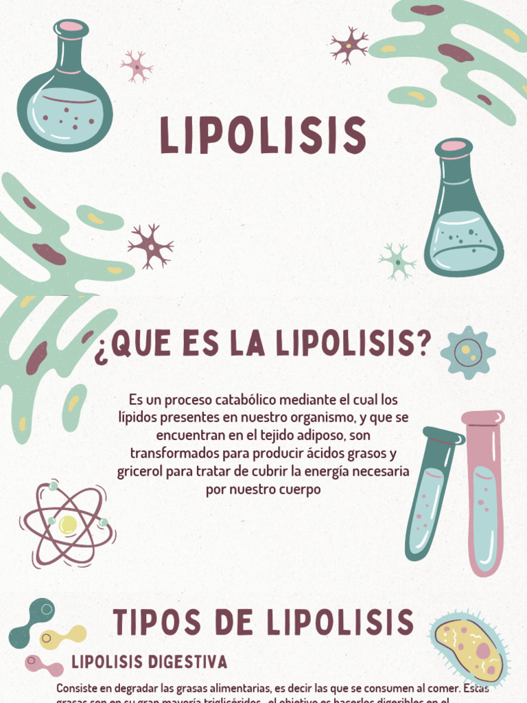 LIPOLISIS | PDF