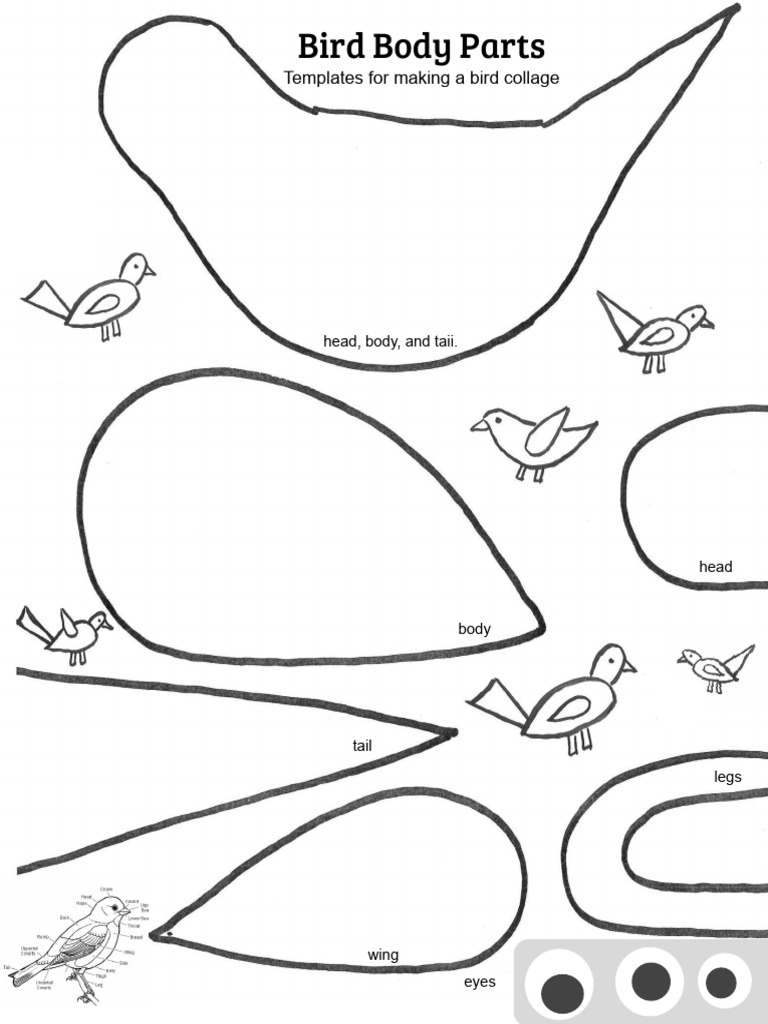 Templates For Making A Bird Collage: Head, Body, and Taii | PDF