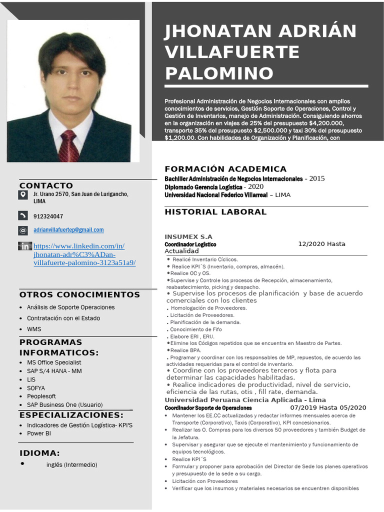 CV Adrian Villafuerte Palomino | PDF