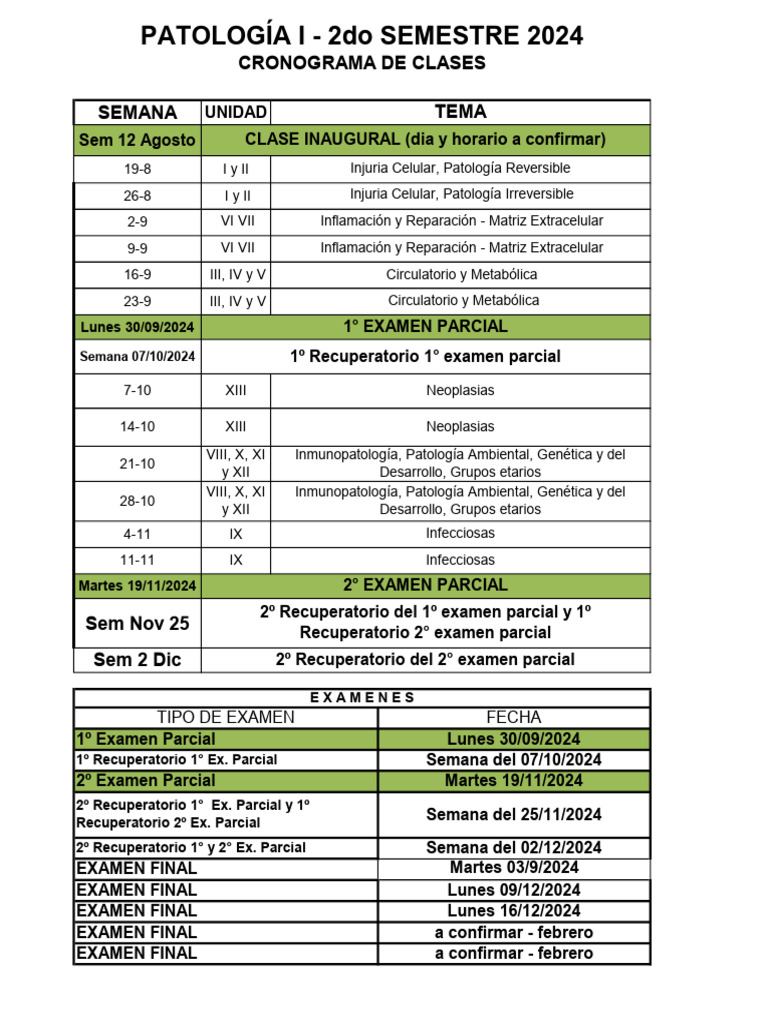 Cronograma Segundo Cuatrimestre 2024 | PDF | Enfermedades y trastornos ...