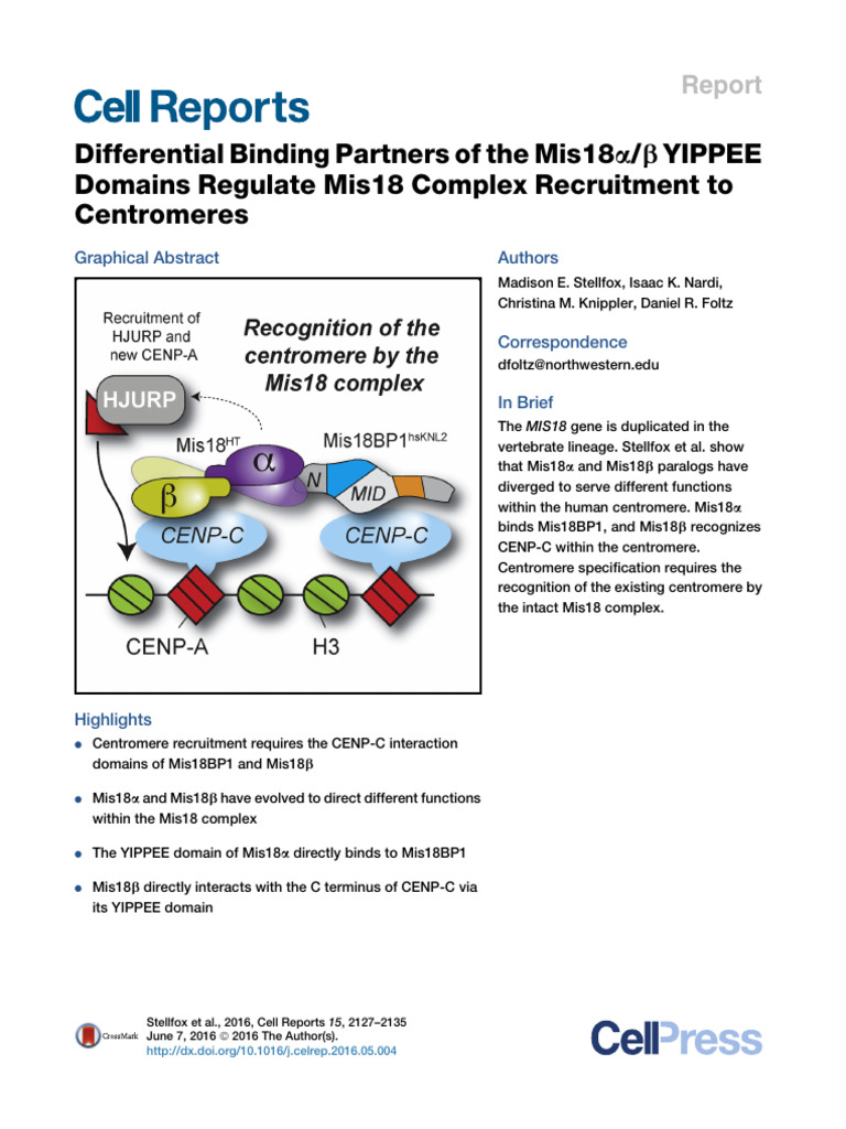 Mis18 Complex With CENPA and C With Reserved YIPPEE | PDF